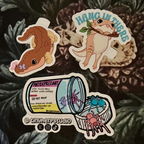 Warning Label Bearded Dragon Sticker - Etsy