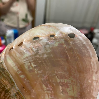 AAA, 3.5inch / 9cm, Gold / Black Mother of Pearl Shell Natural Cut, MOP ...