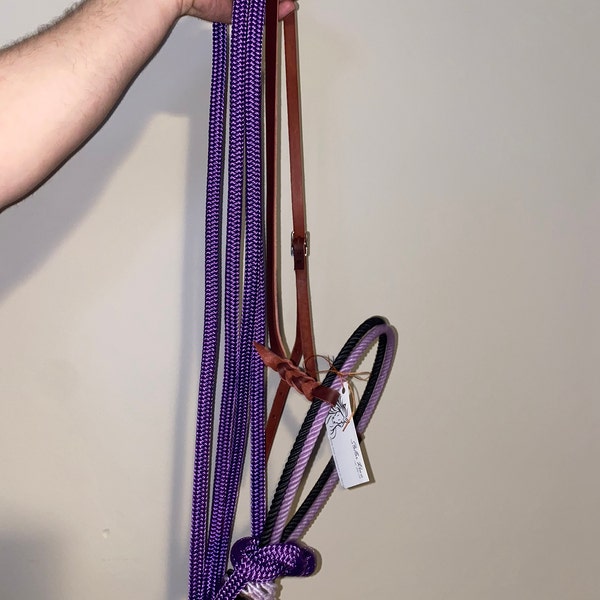 The Big Boy Loping Hackamore - Etsy