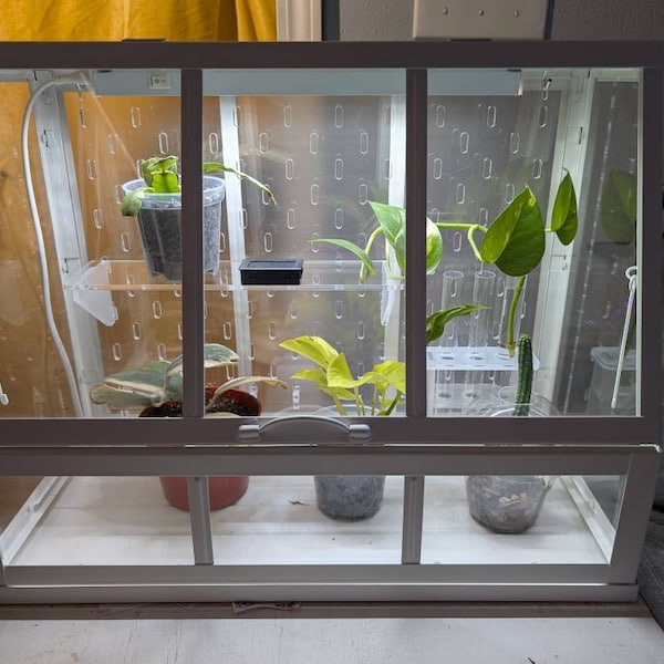 AKERBAR Desktop Greenhouse (17in) Acrylic Pegboard and Shelf Kit for ...