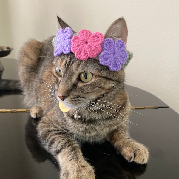 Little Red Riding Hood Cat Costume, Halloween Pet Costume, Cat Hoodie ...