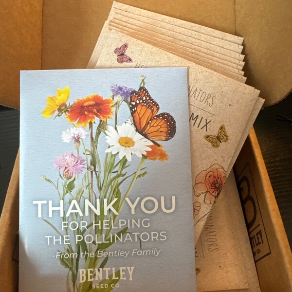 50 Personalized Custom Seed Packets - Pollinator Butterfly - Wildflower ...