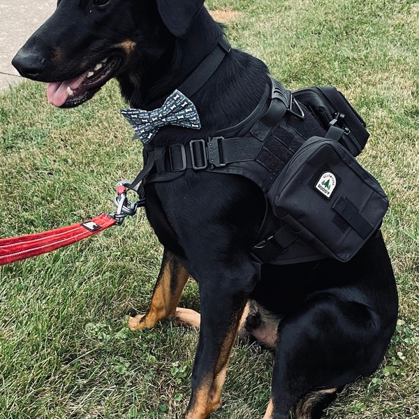 Adventure Buddy Patch for Dogs | Iron-on | Velcro - Etsy