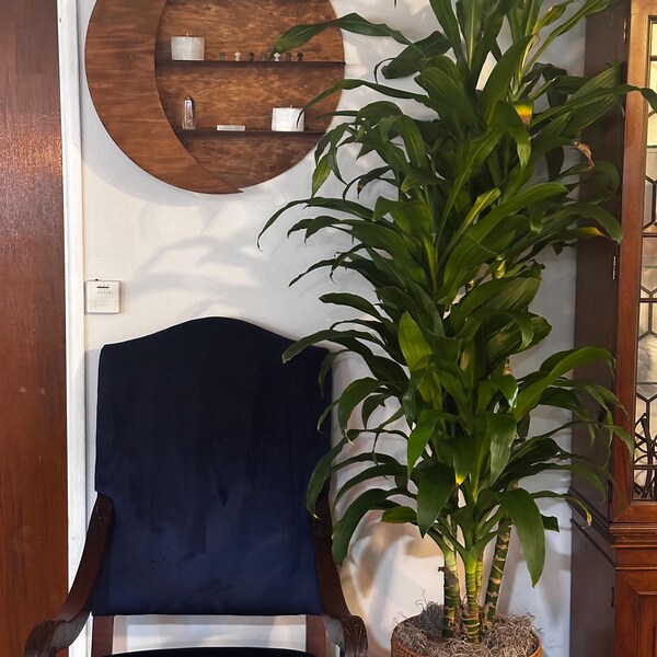 Karate Belt Display Rack, Martial Arts Belt Holder, Martial Arts Belt ...