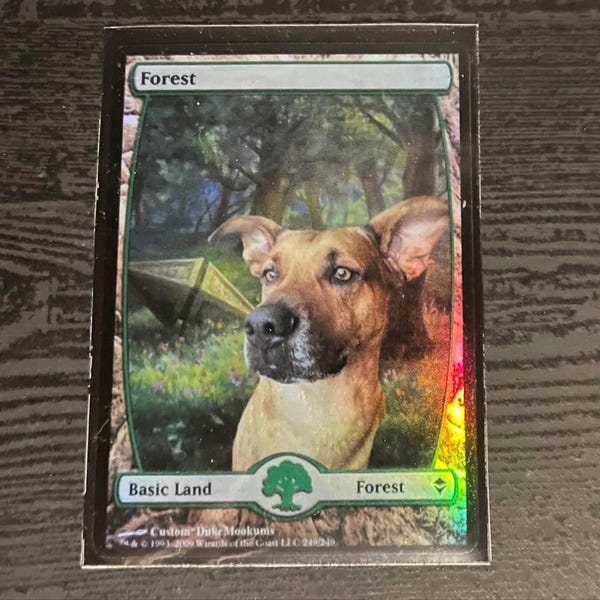 Personalized Pet Magic the Gathering Foil Land - Etsy