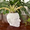 ARTEMIS FACE PLANTER - Artemis Head Planter - Head Planter - Sculpture ...