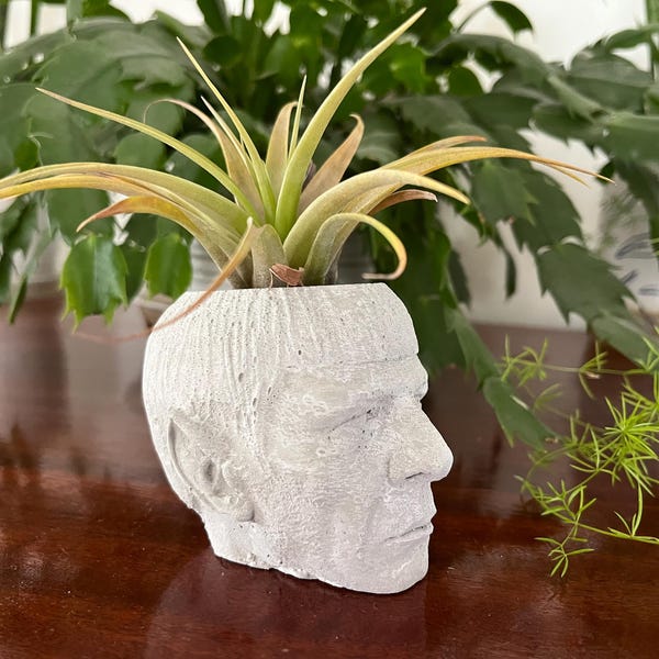 ARTEMIS FACE PLANTER - Artemis Head Planter - Head Planter - Sculpture ...