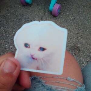 Crying Cat Sticker Pack Pack of 7 Meme Crying Cat Stickers - Etsy