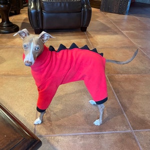 Custom Italian Greyhound Rawrsome Fleece PJS - Etsy