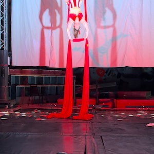 Circus Girl Unitard - Etsy