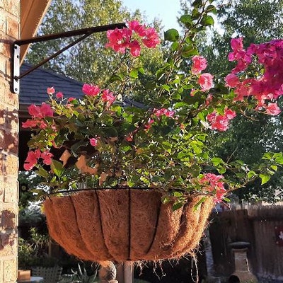 Heavy Duty Hanging Plant Hook, Lantern Hook, Hanging Basket Hook ...