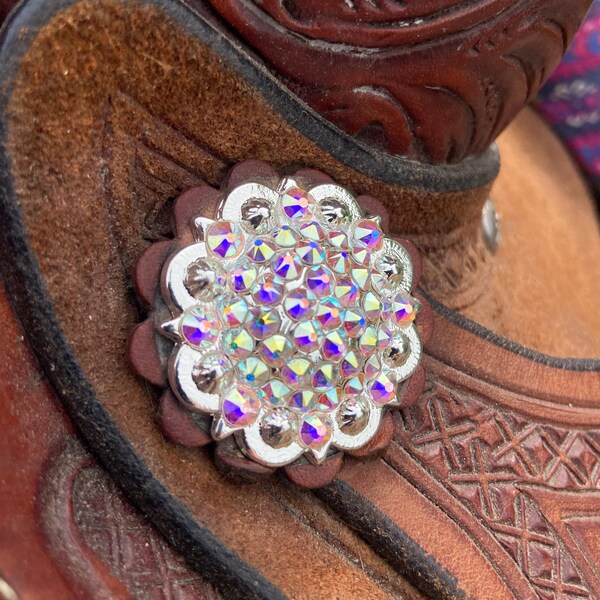 Painted Leather Bit Guards Western Horse Tack Rodeo Barrel Racing Pole ...