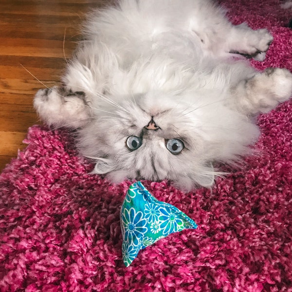 Cat Fin 5 Pack - FIVE (5) Cheerful Assorted Cat Pyramid Toys - Organic ...