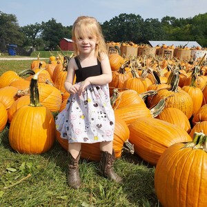 Barnyard Sundress Farm Animals Dress Farm Animal Birthday - Etsy