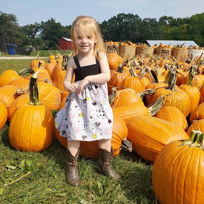 Barnyard Sundress Farm Animals Dress Farm Animal Birthday - Etsy