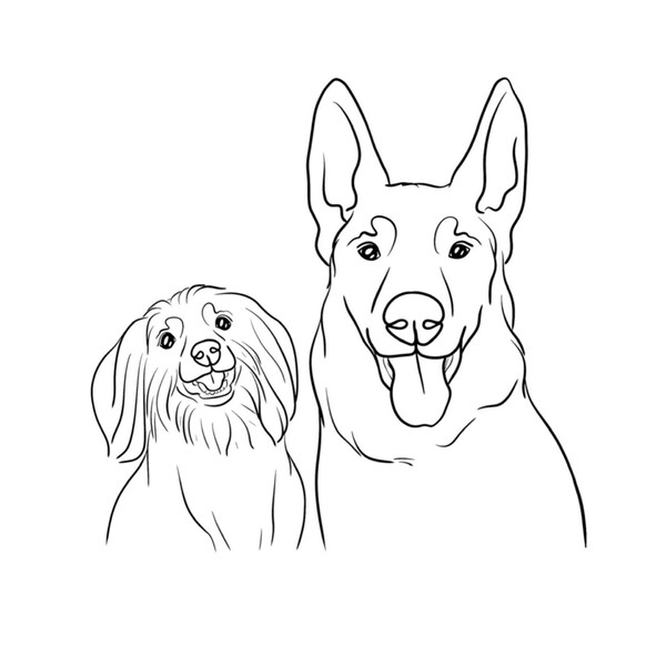 Custom Line Drawing, Custom Pet Outline Drawing, Pet Sketch From Photo ...