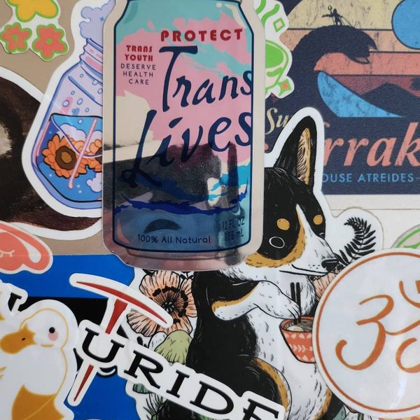 Protect Trans Lives Sticker | Trans Pride Chrome Decal | LGBTQ+ Laptop ...