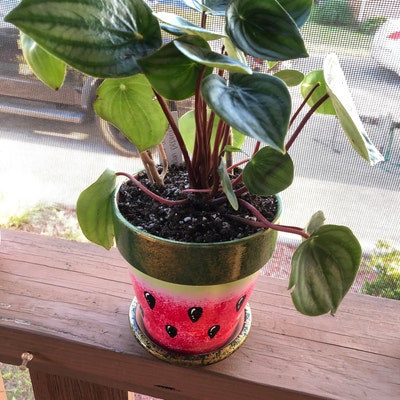Hand Painted Terra Cotta Watermelon Pot and Matching Saucer - Etsy