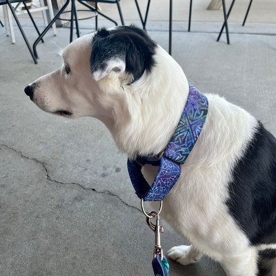 Easy Dog Tag Changer, Dog Collar Id Tag Clip With Lobster Clasp and ...