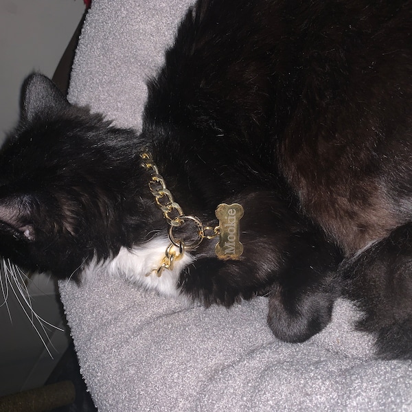 Chain Cat Collar, Medium Cuban Link Cat Necklace, Lightweight Cat ...