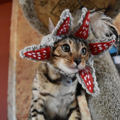 MADE TO ORDER Catogorgon Cat Hat-cat Costumes-cat Hats - Etsy UK