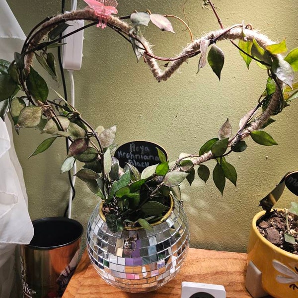 Mushroom Arch Mobile Suncatcher Trellis, Arch Trellis, Trellis for ...