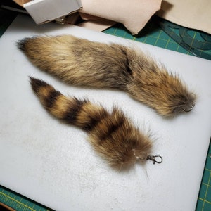 Real Raccoon Tail Taxidermy Keychain - Etsy