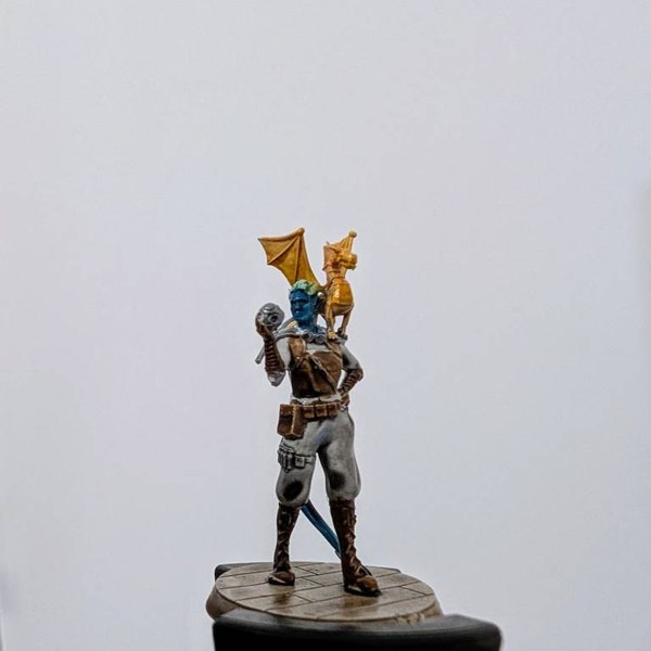 D&D Human Fighter/paladin | Standard Bearer | 3D Printed Resin ...