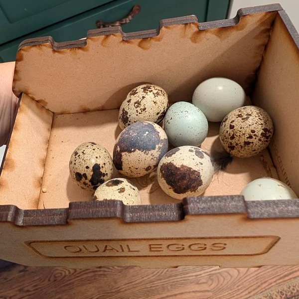 Quail Wall Hanging Egg Holder, Wall Mount Egg Holder, Quail Gift ...