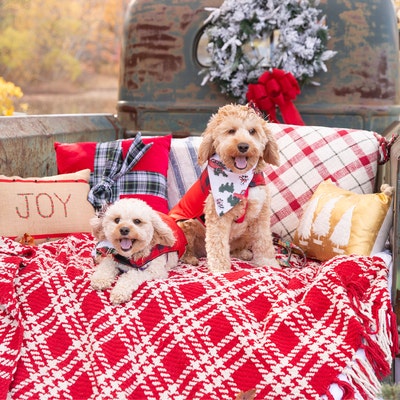 Crab Caddy Crab Boil Caddy Seafood Caddy Get Cracking Crab - Etsy