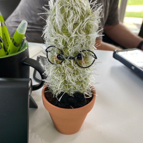 Ted the Pop It Tortoise/ Turtle, No SEW, Crochet PATTERN PDF Download Only - Etsy