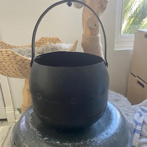 Brass Luxury Door Handle Parrot-shaped 'tamba' / Decorative Elegant ...