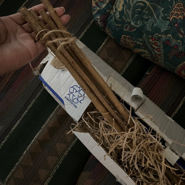 THICK Straight Hazel Sticks - Perfect for Whittling, Wood Crafts, Art ...