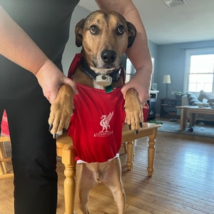 Barcelona Personalised Pet Tank Top FC 23/24 With Original FC Logo dog ...