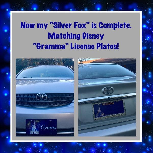 Magical License Plate - Etsy