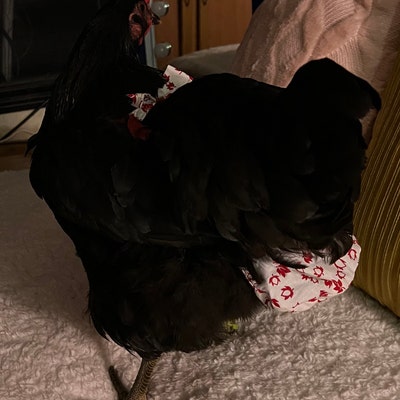 Chicken Diapers Large Perfect Chicken Diaper for Large Hens or Medium ...