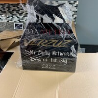 UTV Rzr-side by Side Sign RZR Wall Sign-gift for Him Side by - Etsy Canada