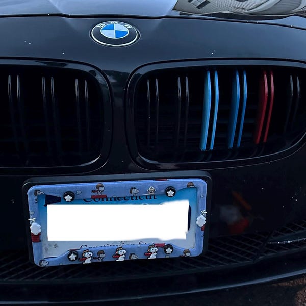 Snoopy and Woodstock 3D License Plate Frame by Mamazooka Designs (best ...