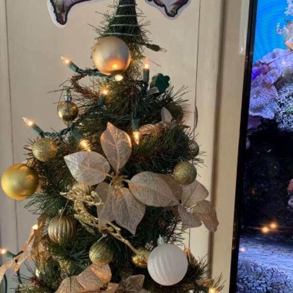 Josh Drawing Buffalo Potato Mafia Sticker Car Decal - Etsy