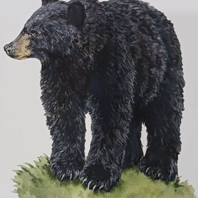 California State Symbols Art Print, California State Symbols Typology ...