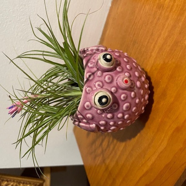 Puffer Fish, Table Top Planters, Air Plants, Joyful Gift, Tropical Fish ...