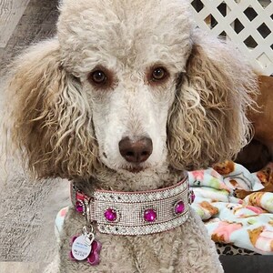 Pearls, Hearts & Real Rhinestone Collar, Luxury Thick Designer Girl Dog ...