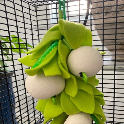 Natural Gourd Cup Forager Sugar Glider Toy Sugar Bear Toy, Pocket Pet ...