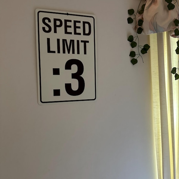 Speed Limit Sign, Custom Speed Limit Sign, Custom Signs, 55 Speed Limit ...
