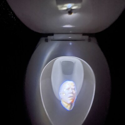 Pee-litical Target Toilet Light Projector - Etsy