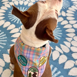 Dog Merit Badge Iron-on Patches for Dogs, Dog Bandana Badges ...