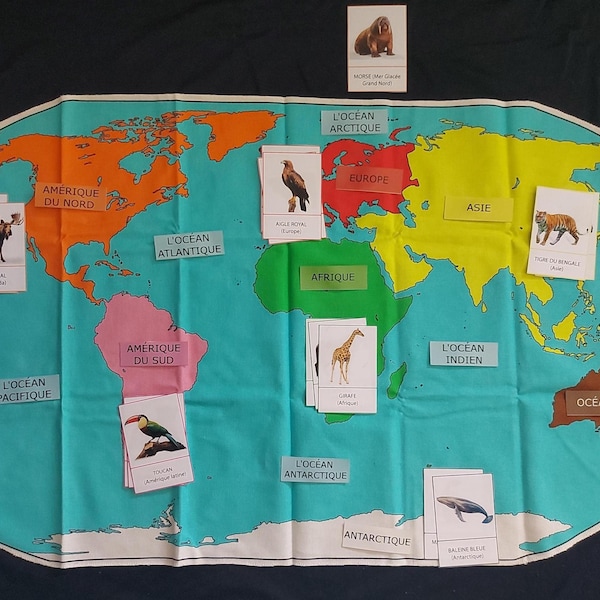 Montessori Sorting Activity 5 Senses, Touch, Taste, Sight, Hearing ...