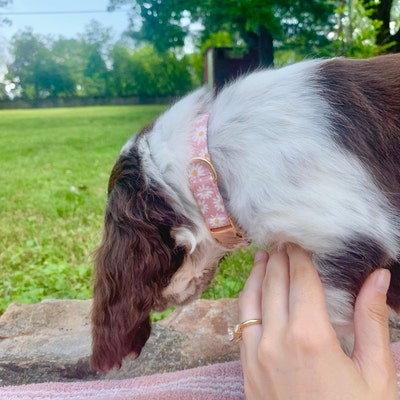 Retro Checkered Cat Collar With Bell Colorful Male Cat - Etsy