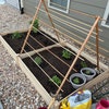Hardwood Trellis - A Frame, 4ft and 6ft Plant Playground, Fun for ...