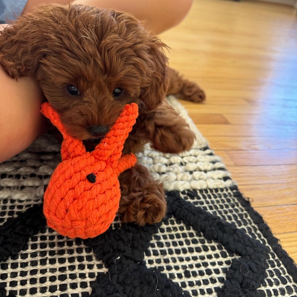 Handmade Recycled Cotton Dog Rope Toy: Animal Chew Toy for Puppies - Etsy